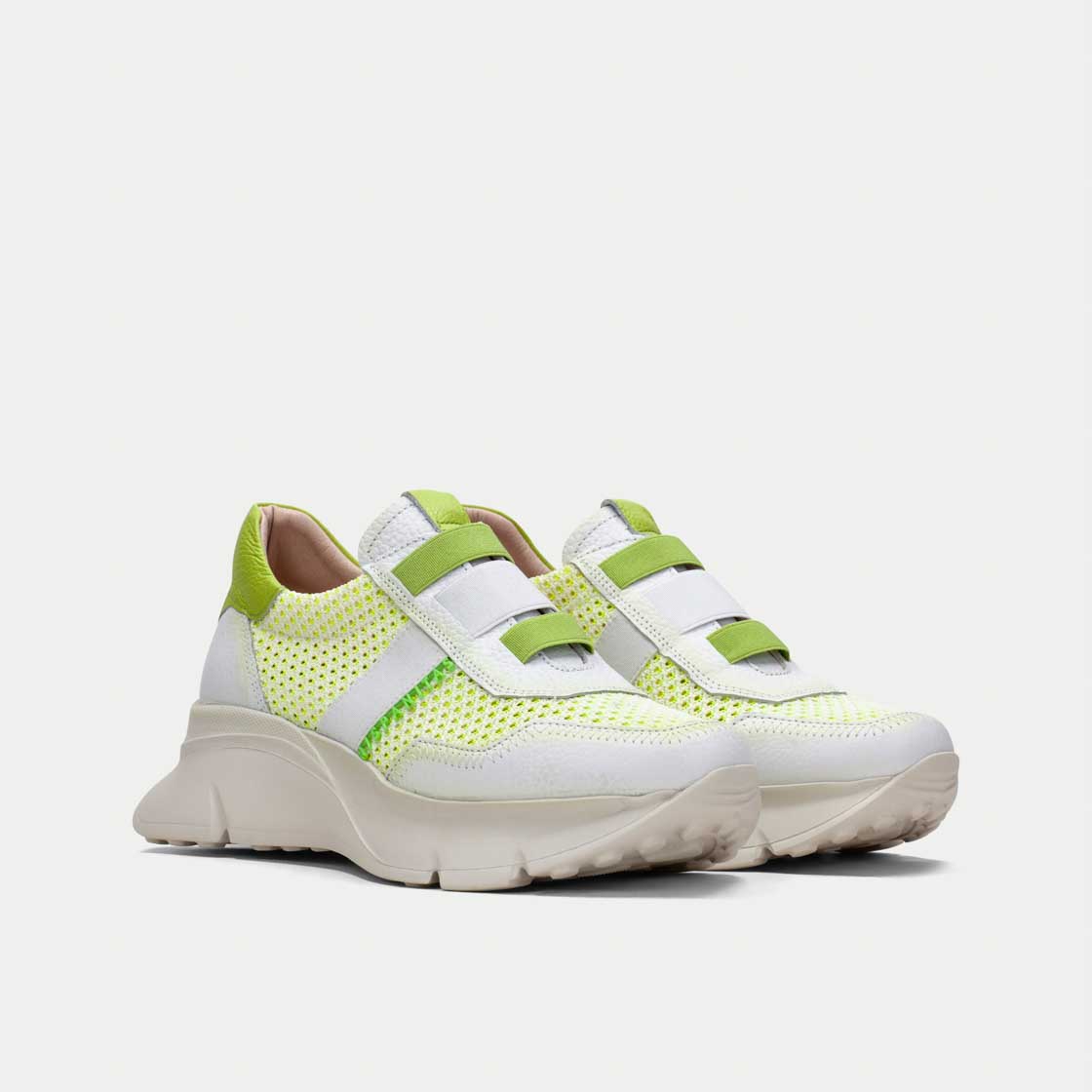 若草色で春らしいファッションに > HAYASHIGO ONLINE SHOP